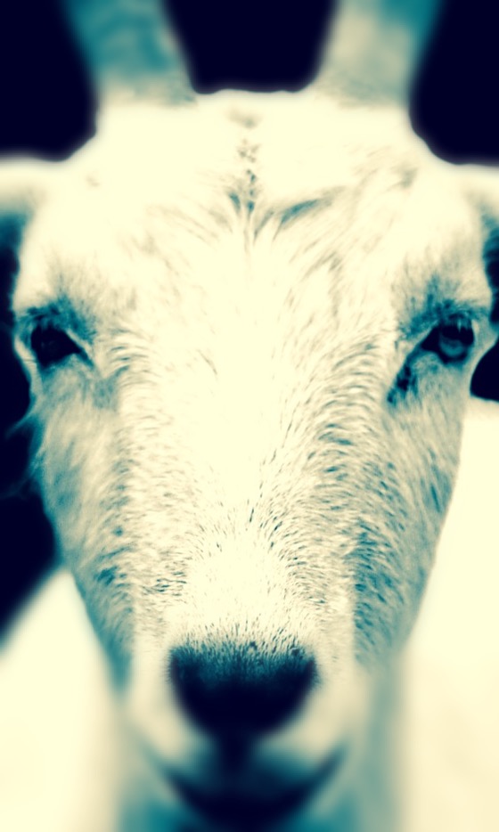 World Wide Witchery | Glamis Calling...